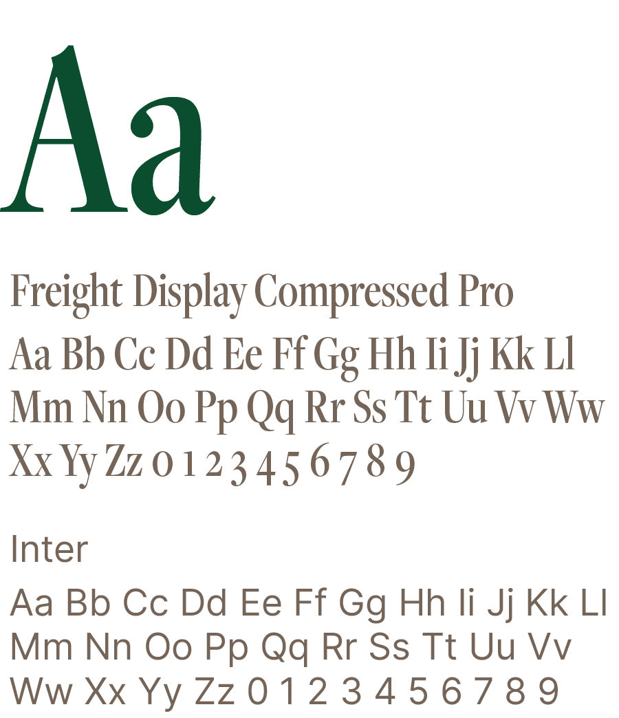 Bringing Stratus Firm to New Heights | Online Optimism