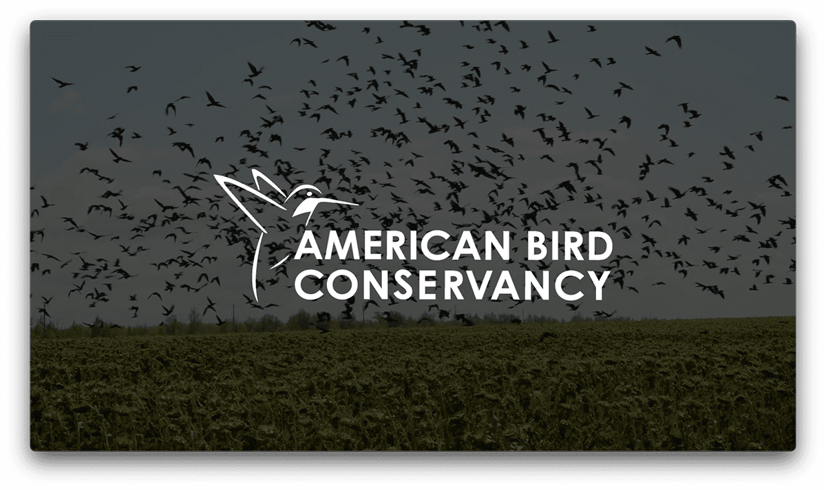 Educational Animated Videos for American Bird Conservancy